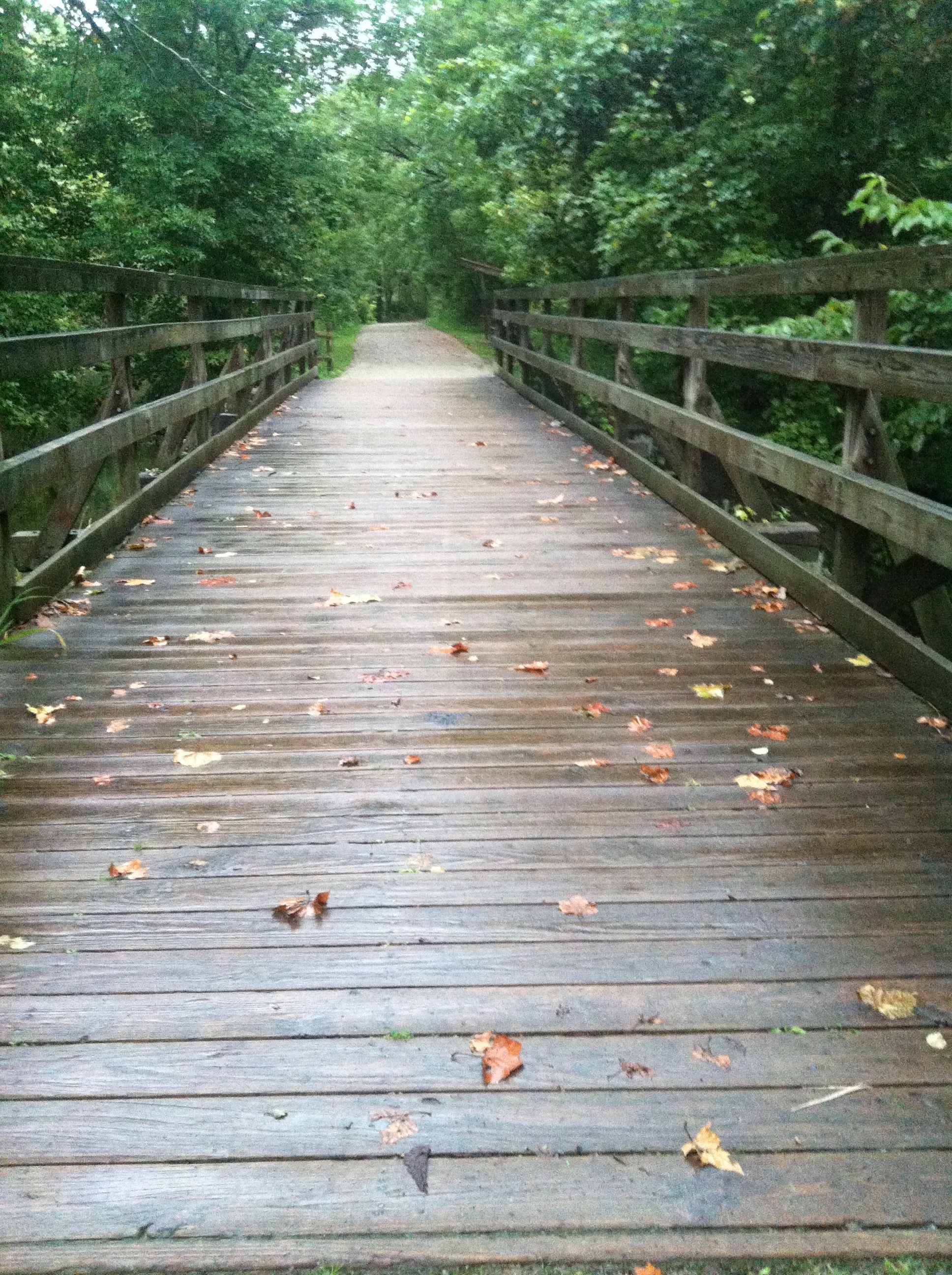 Rain Covered Bridge - Make Something Mondays