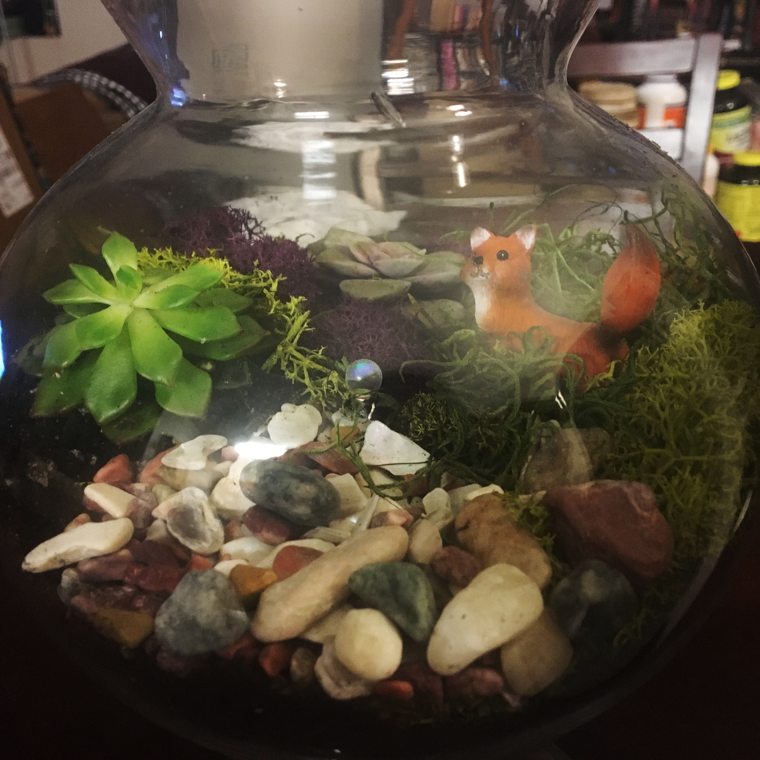 DIY Terrarium in 6 Easy Steps - Make Something Mondays